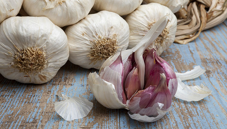 Sa hudhër duhet të konsumojmë në ditë ? Sa hudhër duhet të hamë për t’u ...