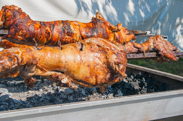Njihuni me gatimet e Vlorës – Podiumi Lajmet më të fundit në Shqipëri
