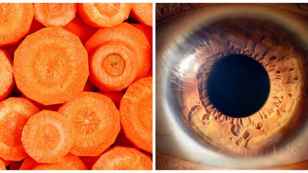 ‘Farmacia e Zotit’: 19 ushqimet që duken njësoj si organet të cilave ...