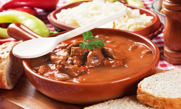 Përralla Shqiptare Lepuri Dhe Breshka Podiumi Lajmet Më Të Fundit